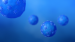 Papilloma bocca: sesso orale e HPV - Istituto Dermoclinico Vita Cutis